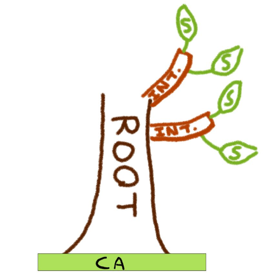 Where are TLS/SSL Configuration Files located ? How to configure them in Splunk Enterprise? | Splunk